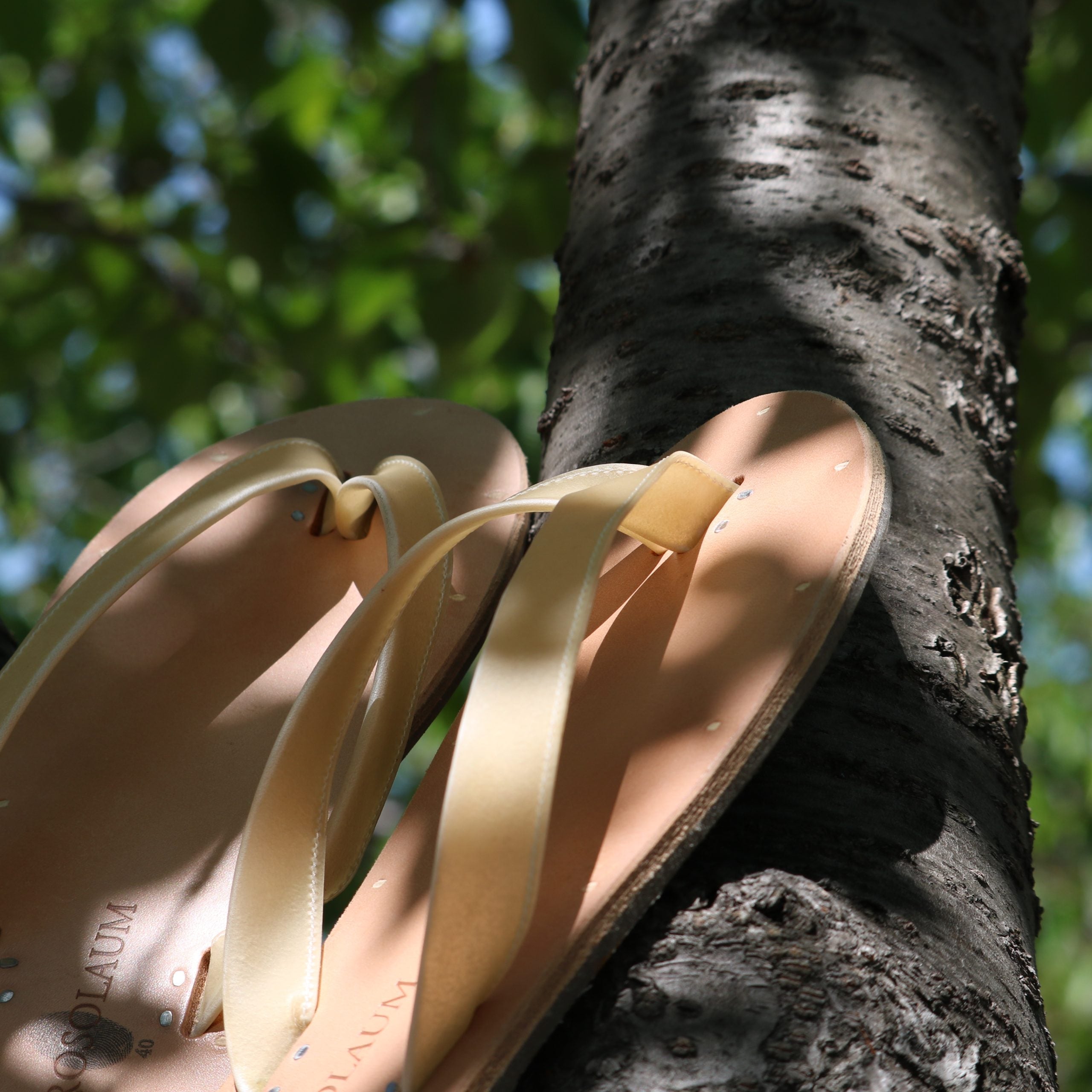 transparent leather – CASANOVA&CO